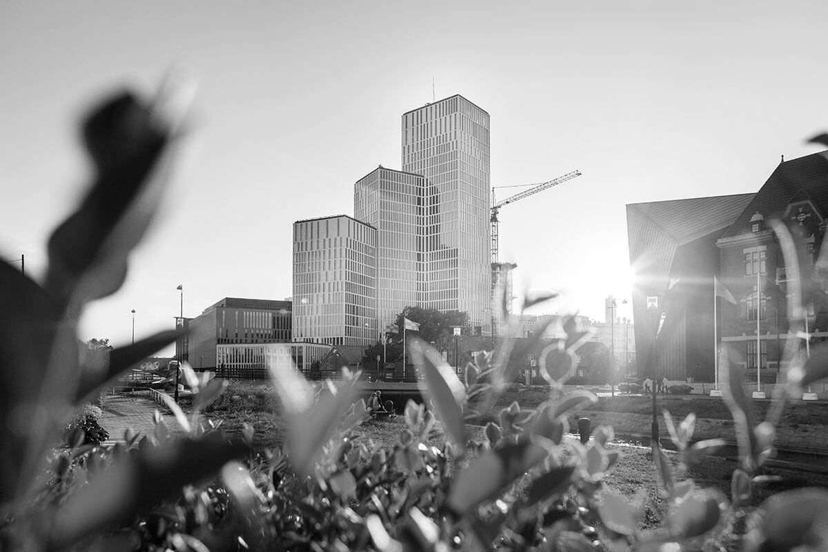 The Quiet Disappearance of Specialists, the Rise of the Gig Workforce ...